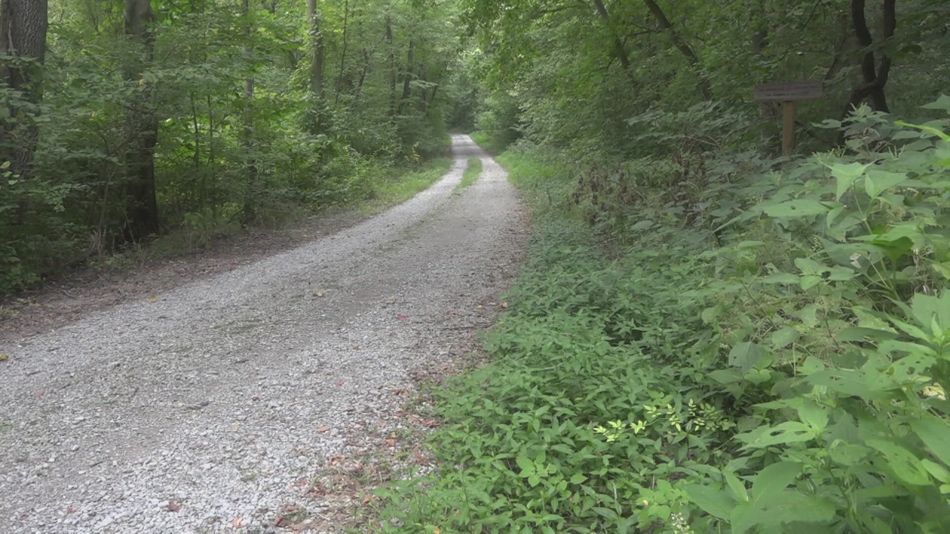 Massive Illinois snake migration shuts down miles of road | ksdk.com
