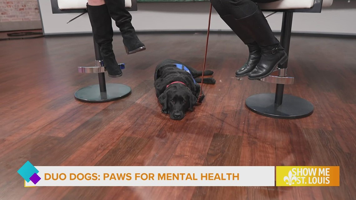 The extraordinary bond between people and dogs! | ksdk.com