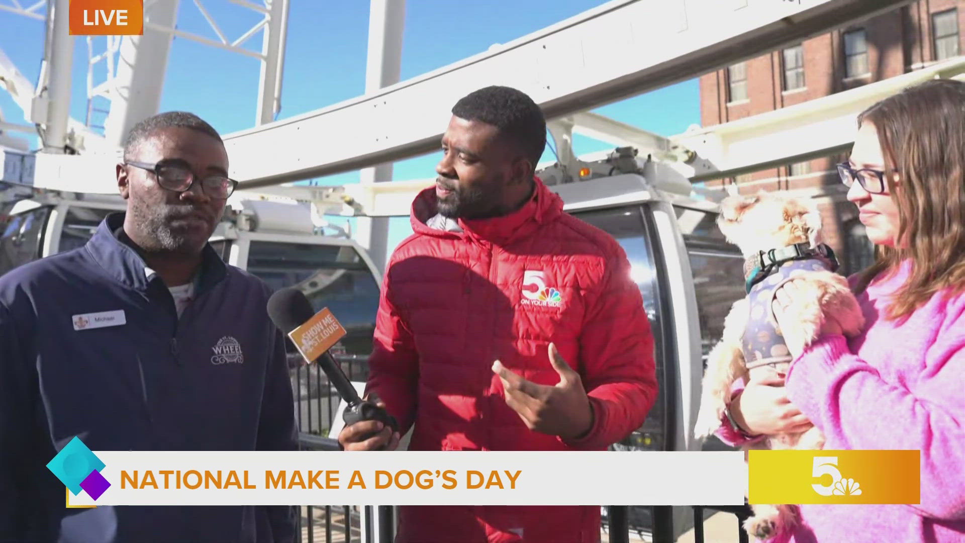 Celebrate Dog Day at The St. Louis Wheel on October 22 | ksdk.com