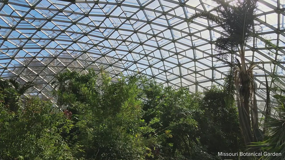 Missouri Botanical Garden offering free admission to Climatron | ksdk.com
