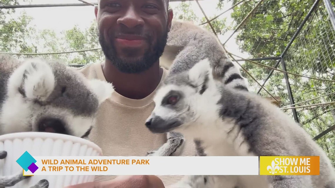 Wild Animal Adventure Park offers unique hands-on experience | ksdk.com