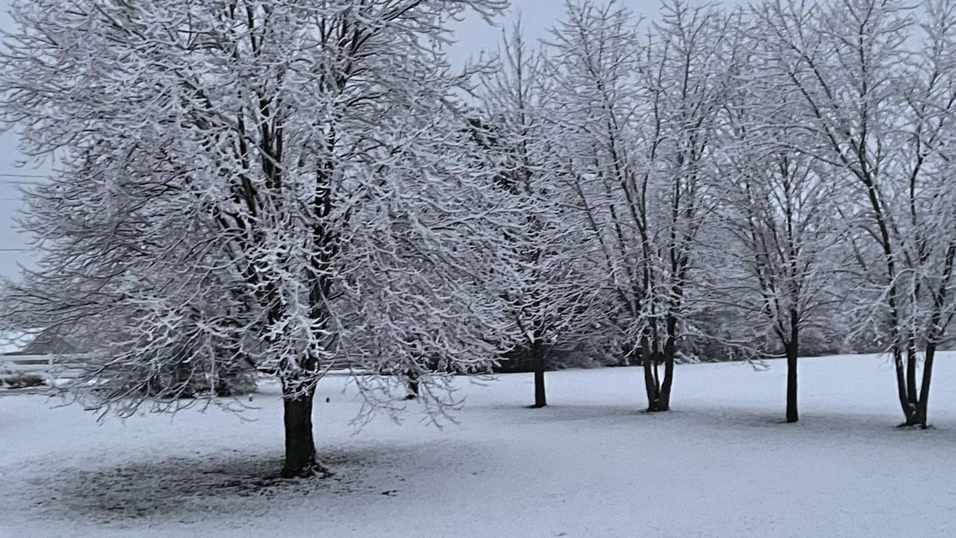 St. Louis forecast: Snow expected Tuesday | ksdk.com