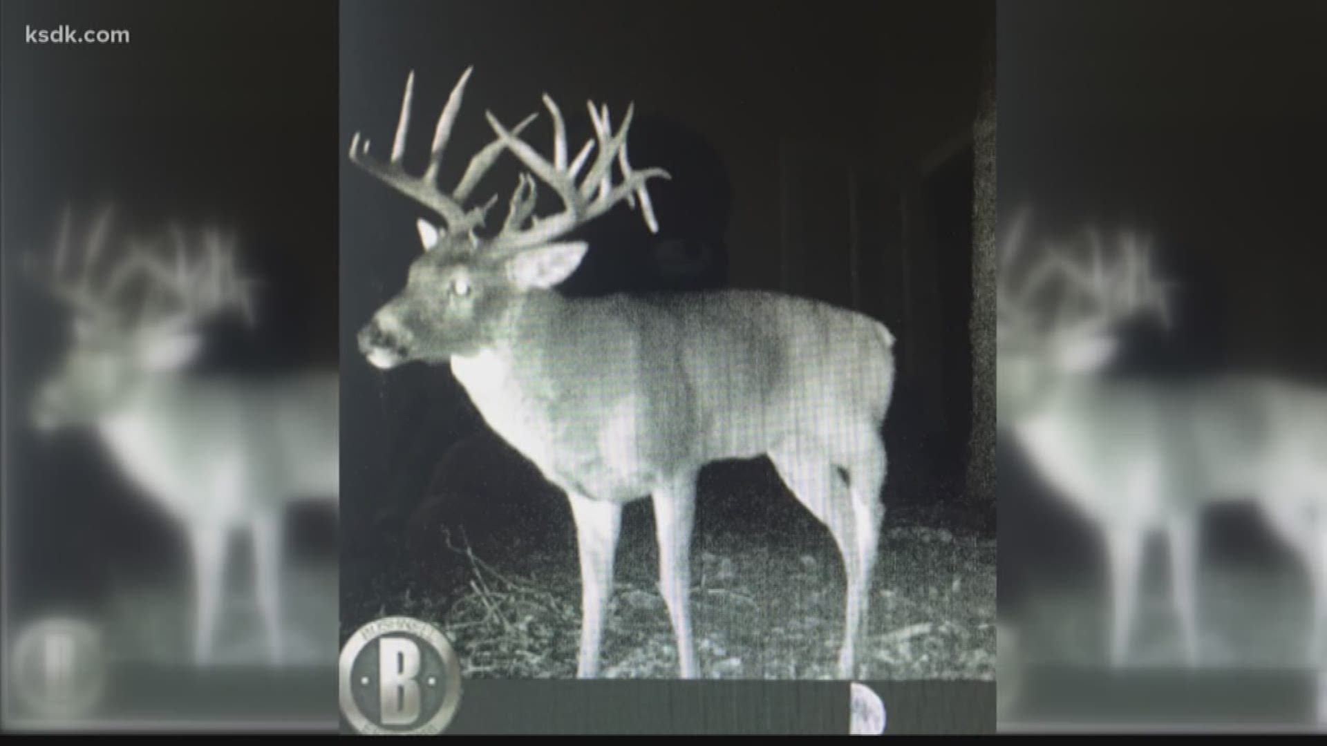 Patience pays off for St. Charles County hunter who bags 39-point buck ...