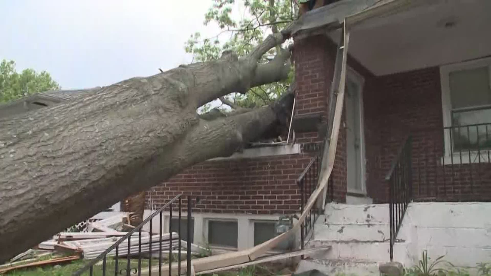 Tree smashes through home in University City | ksdk.com