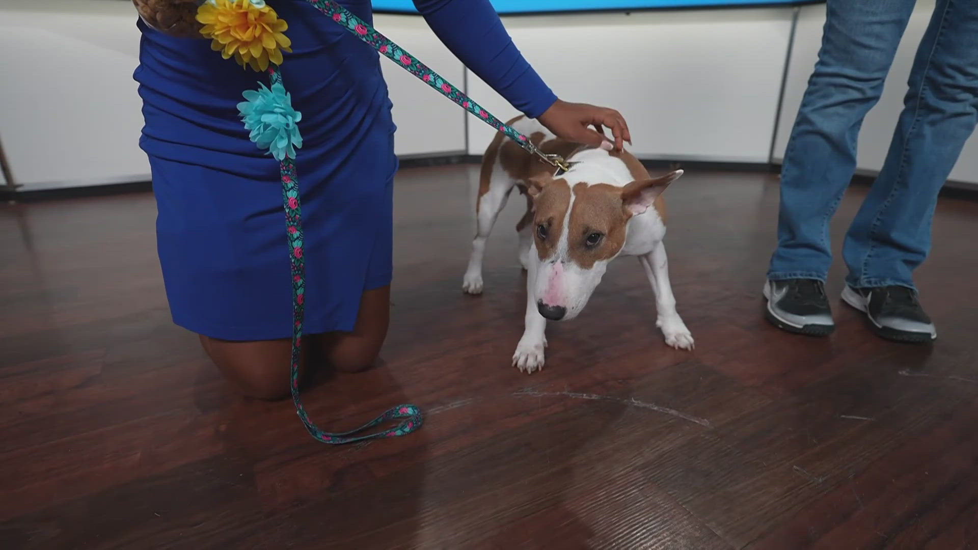 Sammy's Stars: March 20, 2025 | ksdk.com