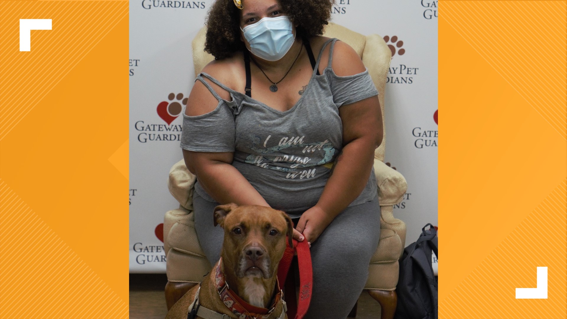 St. Louis animal shelter needs foster homes | ksdk.com