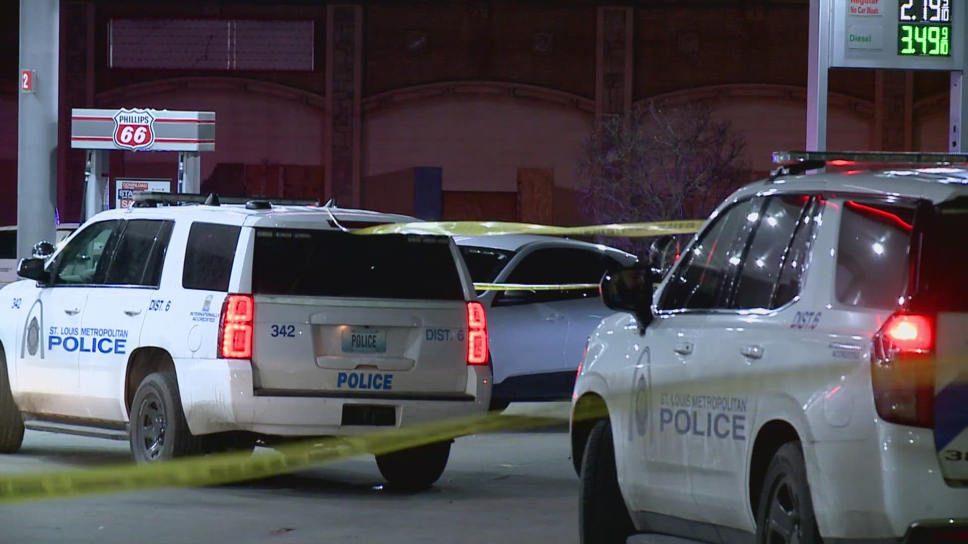 Grandson charged with murder in stabbing of grandmother, two dogs in St ...