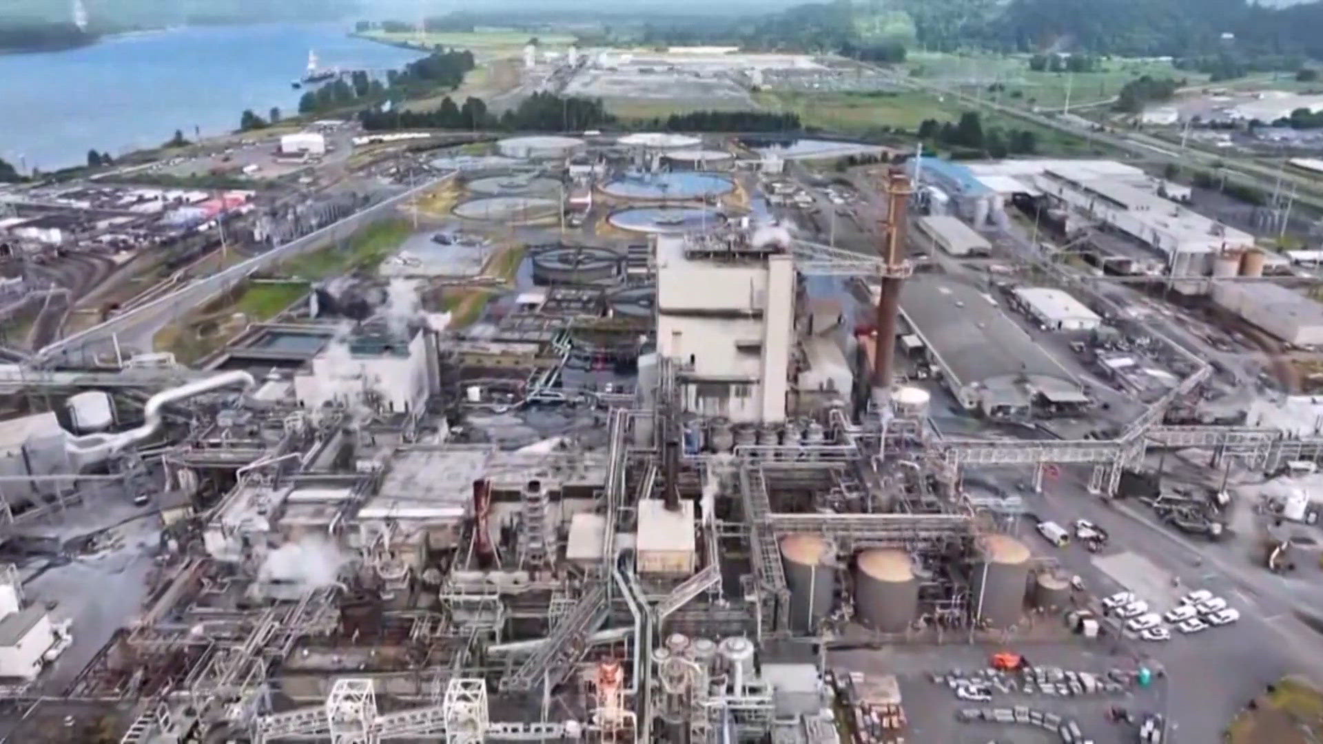 Nearly 2K fish found dead after paper mill implosion | ksdk.com