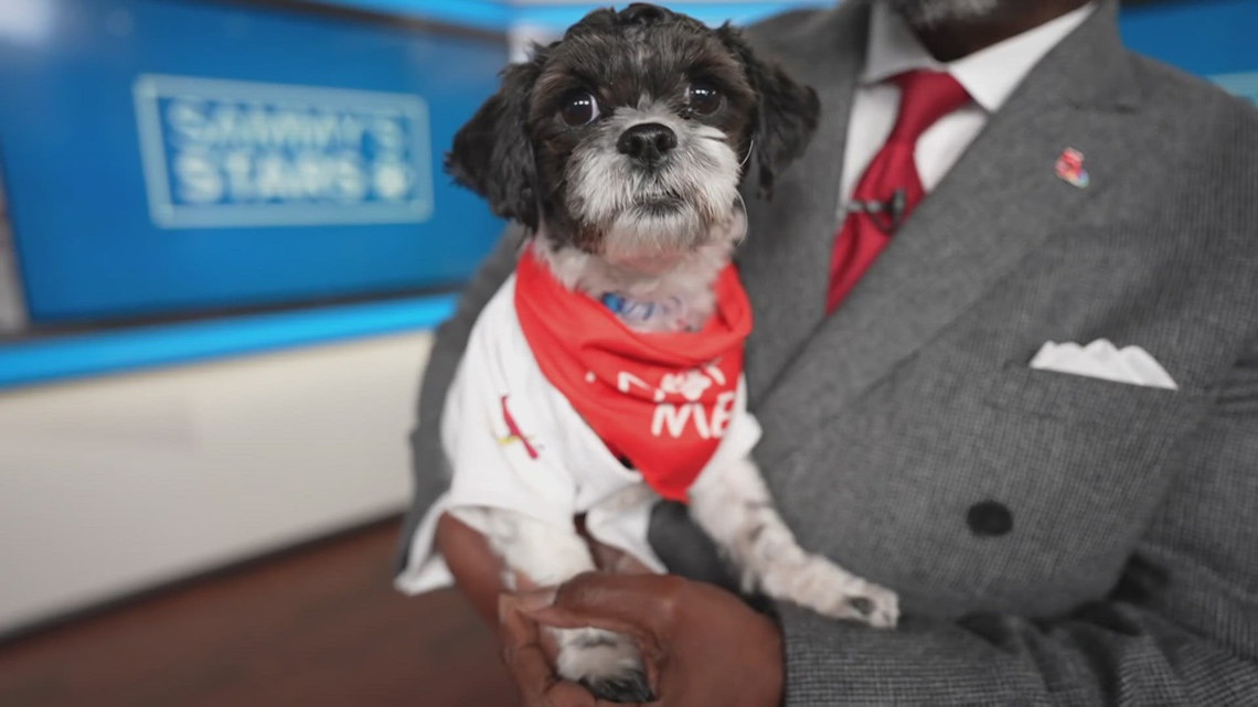 Sammy's Stars: May 16, 2025 | ksdk.com