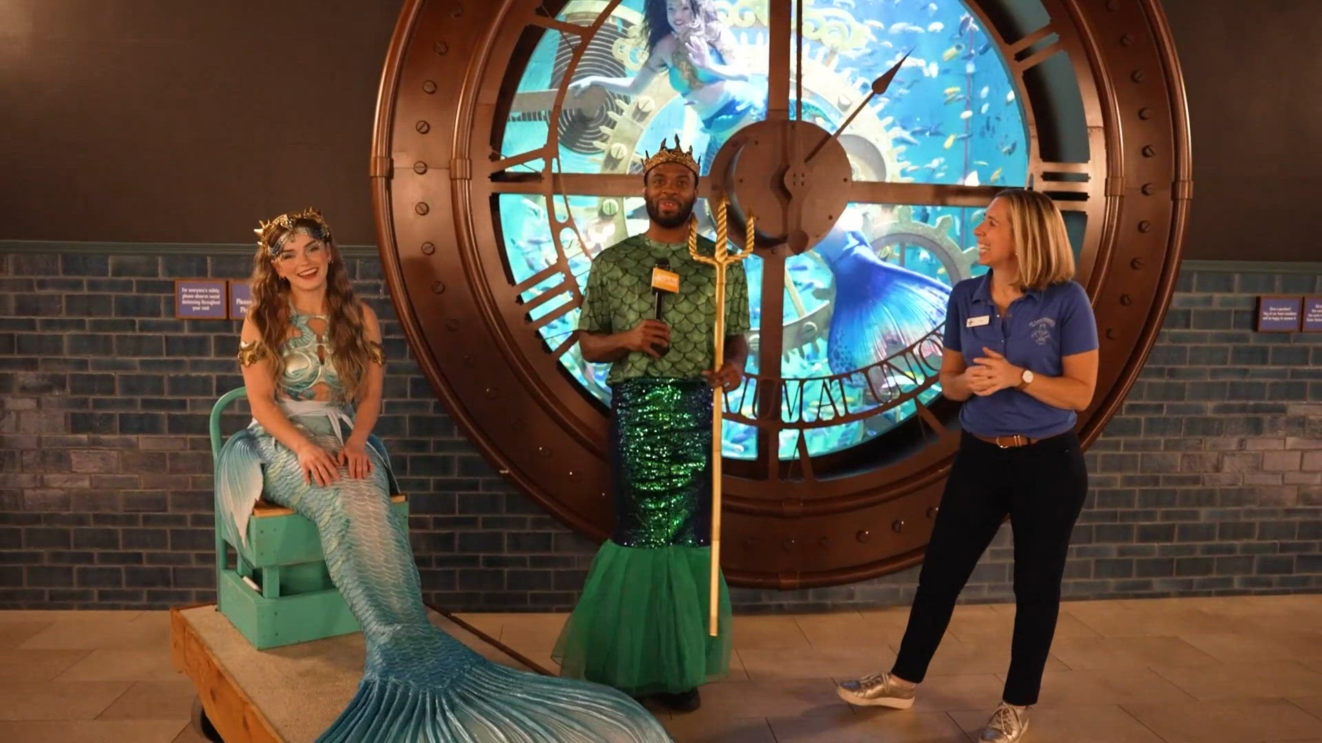 Sponsored: Dive into an underwater fairytale at St. Louis Aquarium's ...