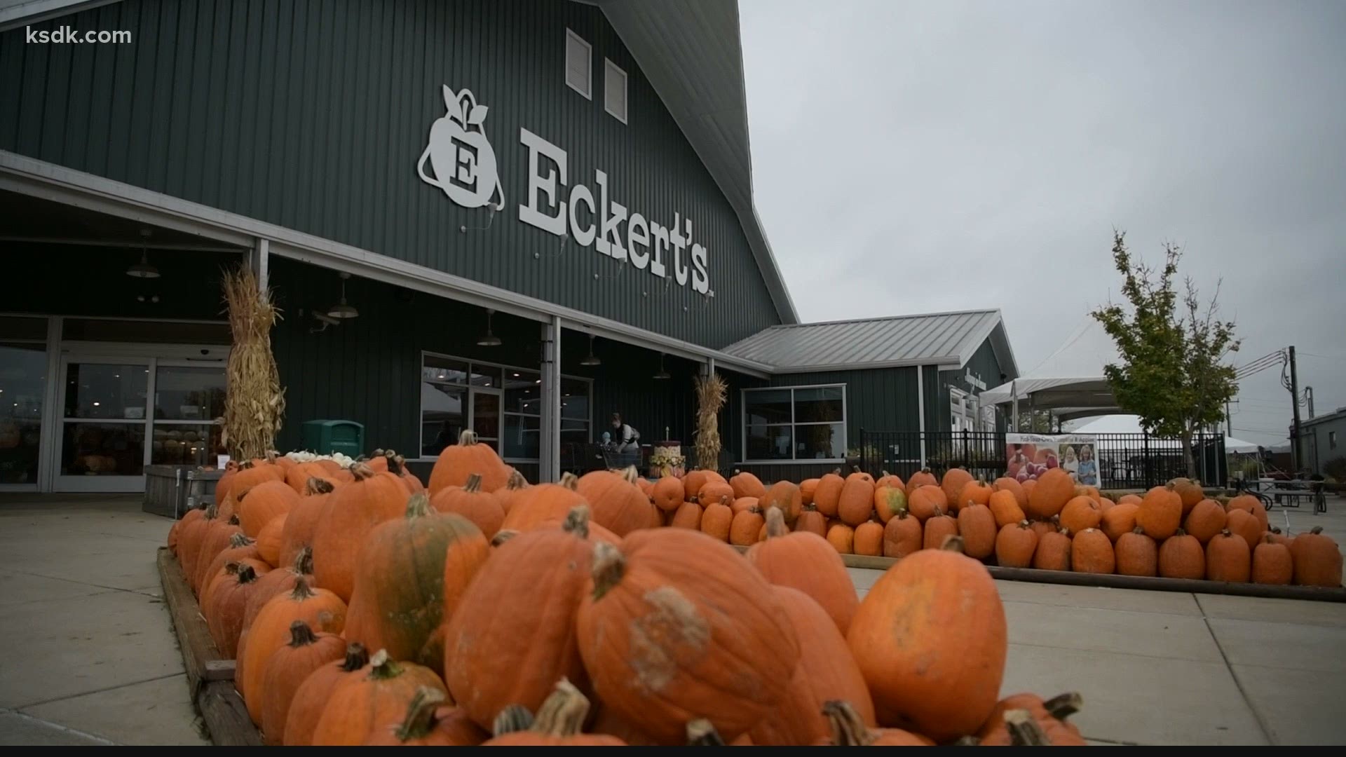Show Me St. Louis celebrates Halloween at Eckert’s Belleville Farm ...