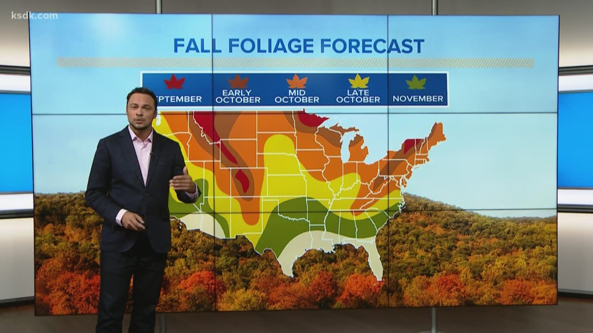 Fall foliage peak pushed back in the St. Louis area | ksdk.com