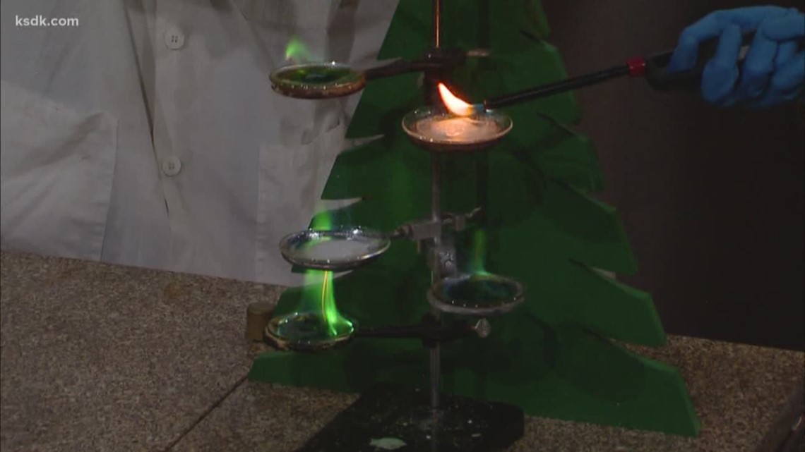 One of the many amazing things you can see at Science Illuminated ...