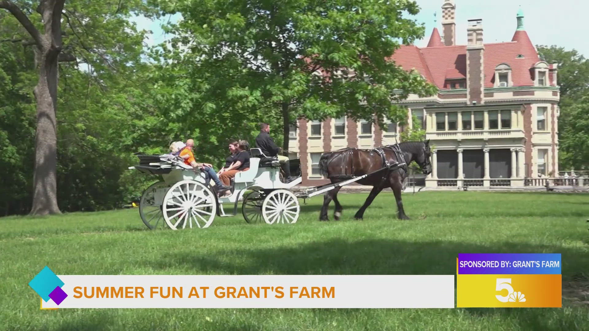 New experiences at Grant's Farm | ksdk.com