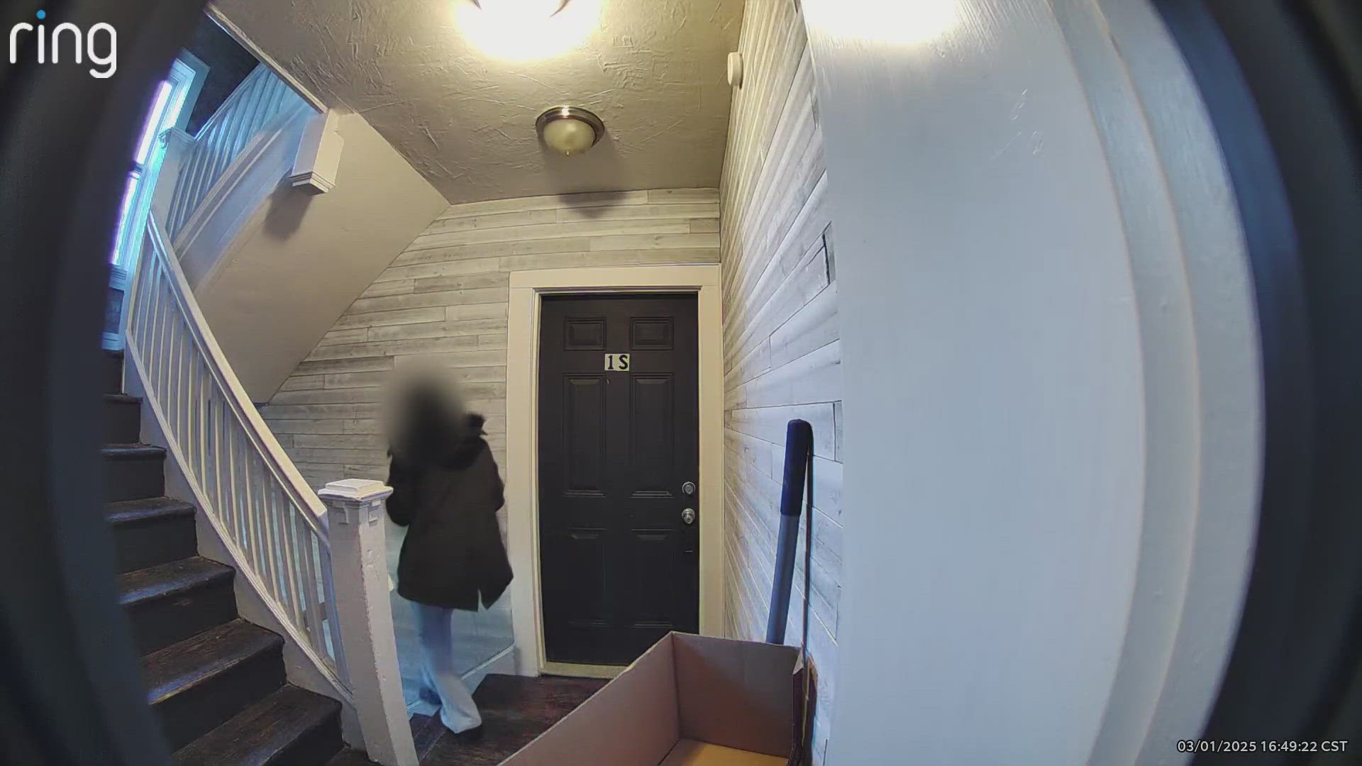 Gravois Park mail theft caught on camera | ksdk.com
