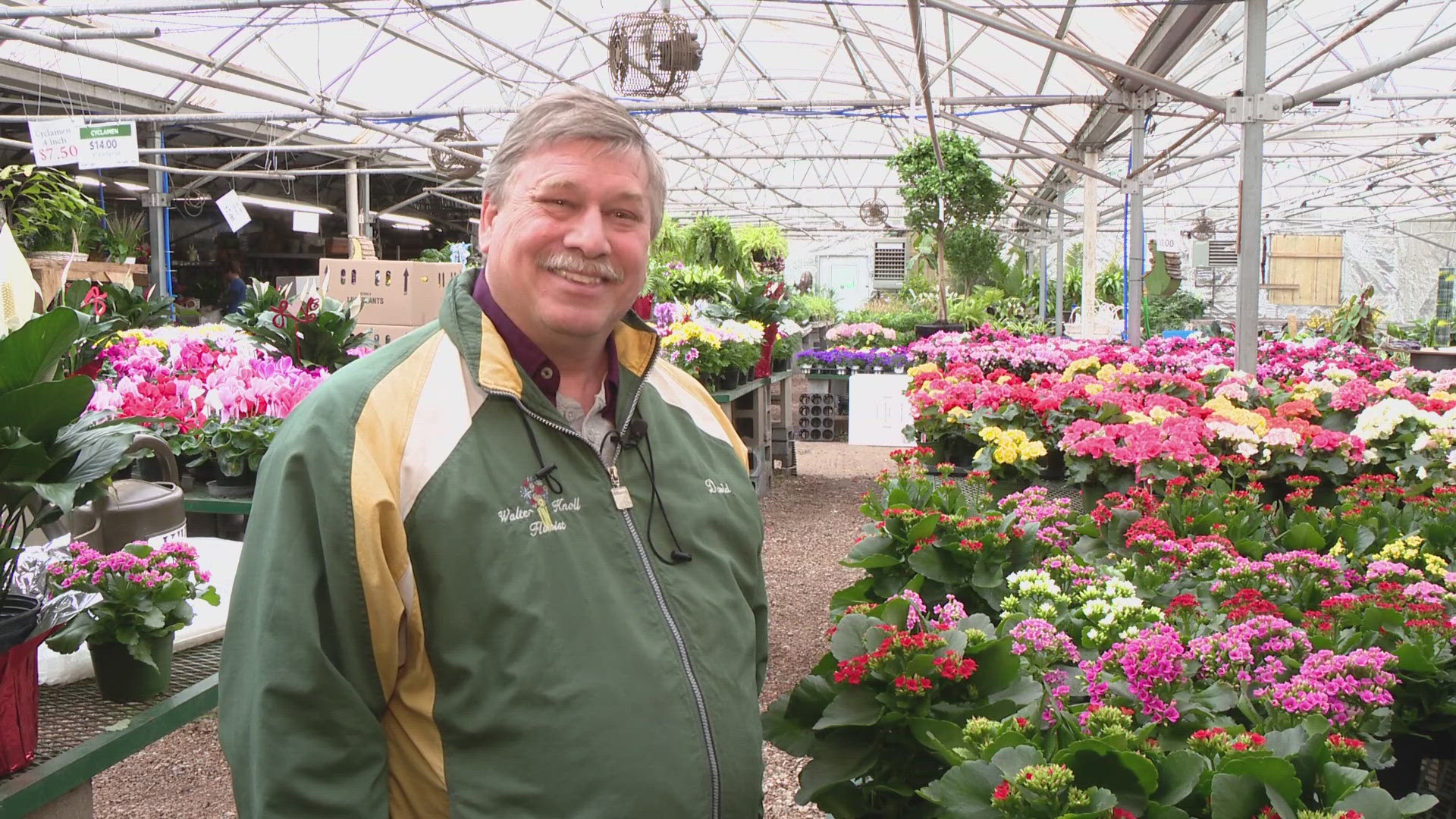 This St. Louis street has been florist row for 98 years | ksdk.com