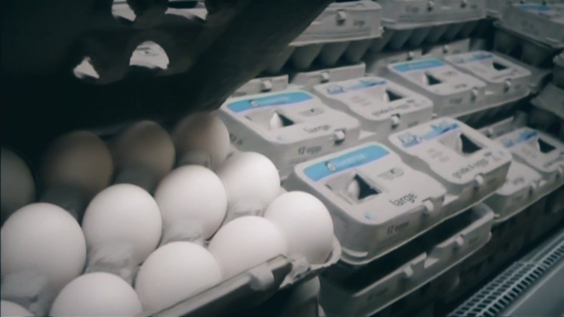 Which St. Louis-area grocers are limiting egg purchases? | ksdk.com