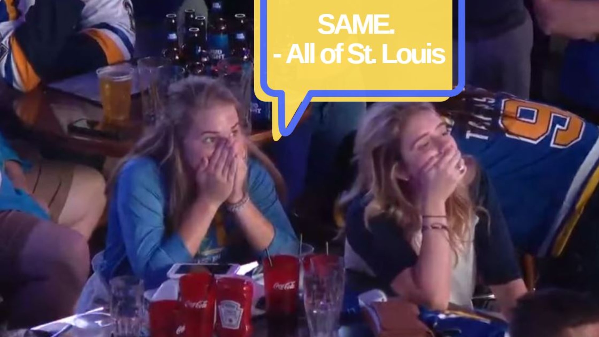 This video shows how St. Louis Blues fans feel about winning goal in ...