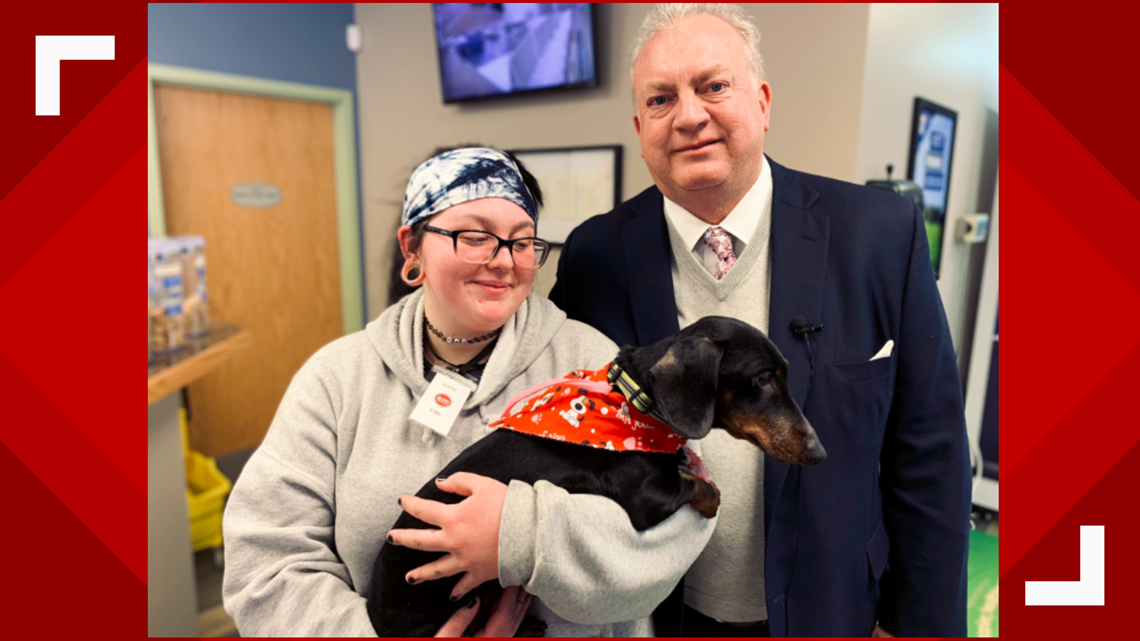Jimmy the dog is actually named Flick and has been reunited with his ...