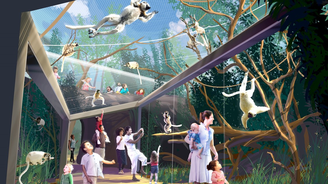 Saint Louis Zoo debuts plans for outdoor primate exhibit | ksdk.com