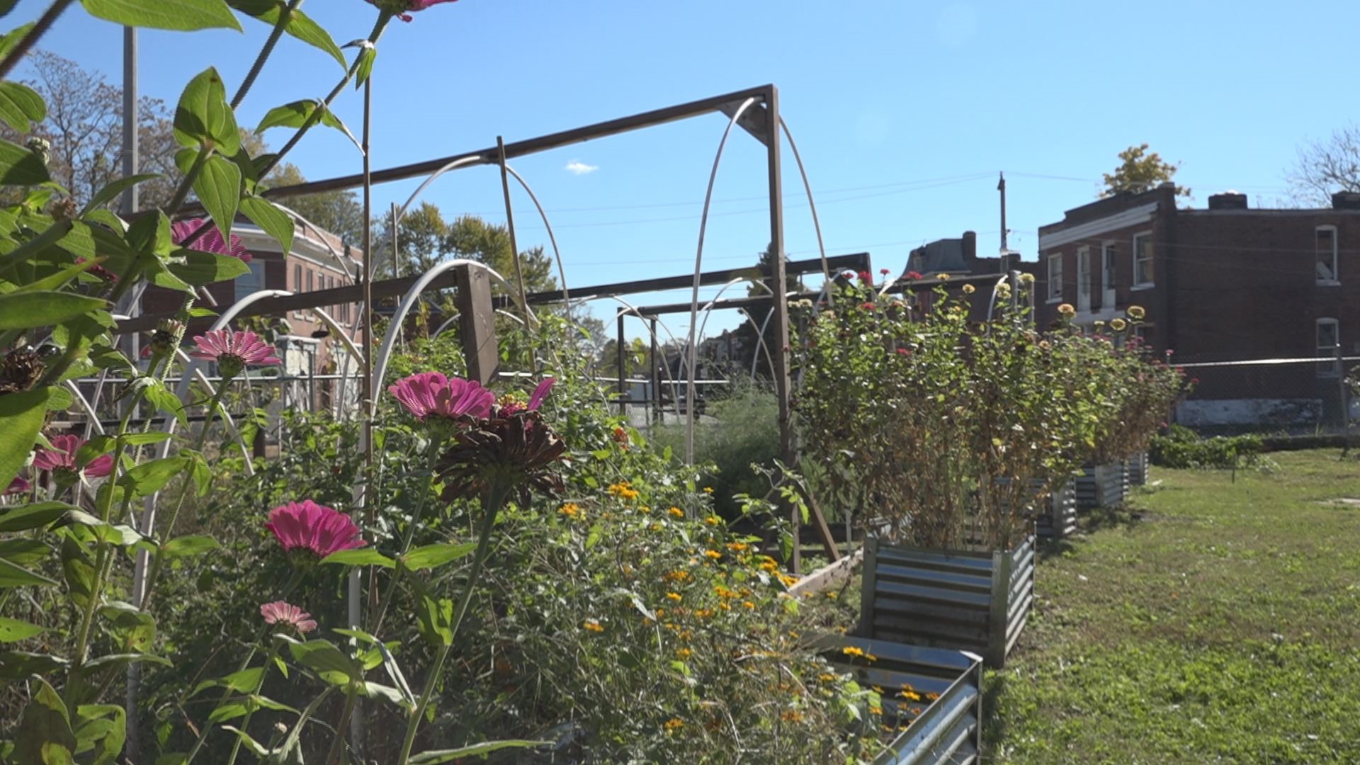 CDA announces $20M available for grassroots projects | ksdk.com