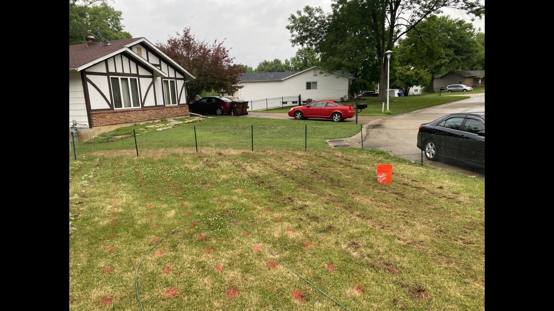 St. Peters man grieves hundreds of flowers destroyed | ksdk.com