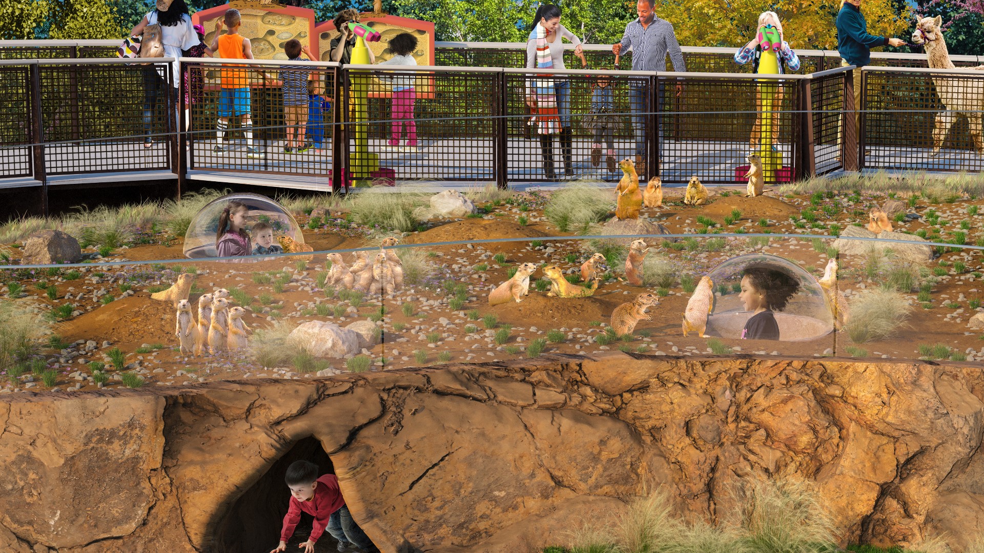 Saint Louis Zoo unveils plans for 'Destination Discovery' exhibit ...