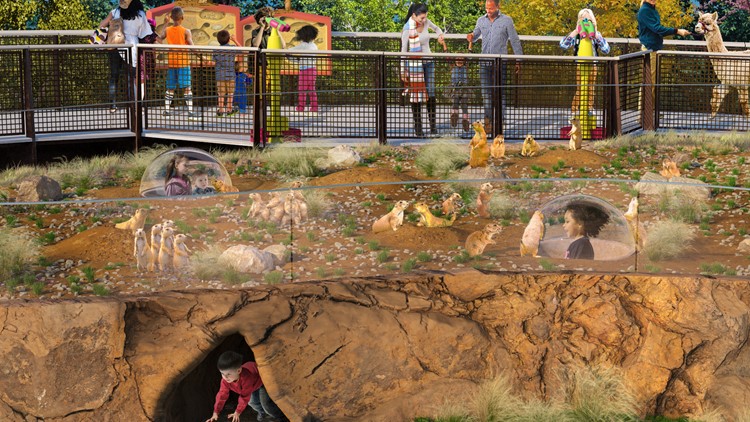 Saint Louis Zoo unveils plans for 'Destination Discovery' exhibit ...