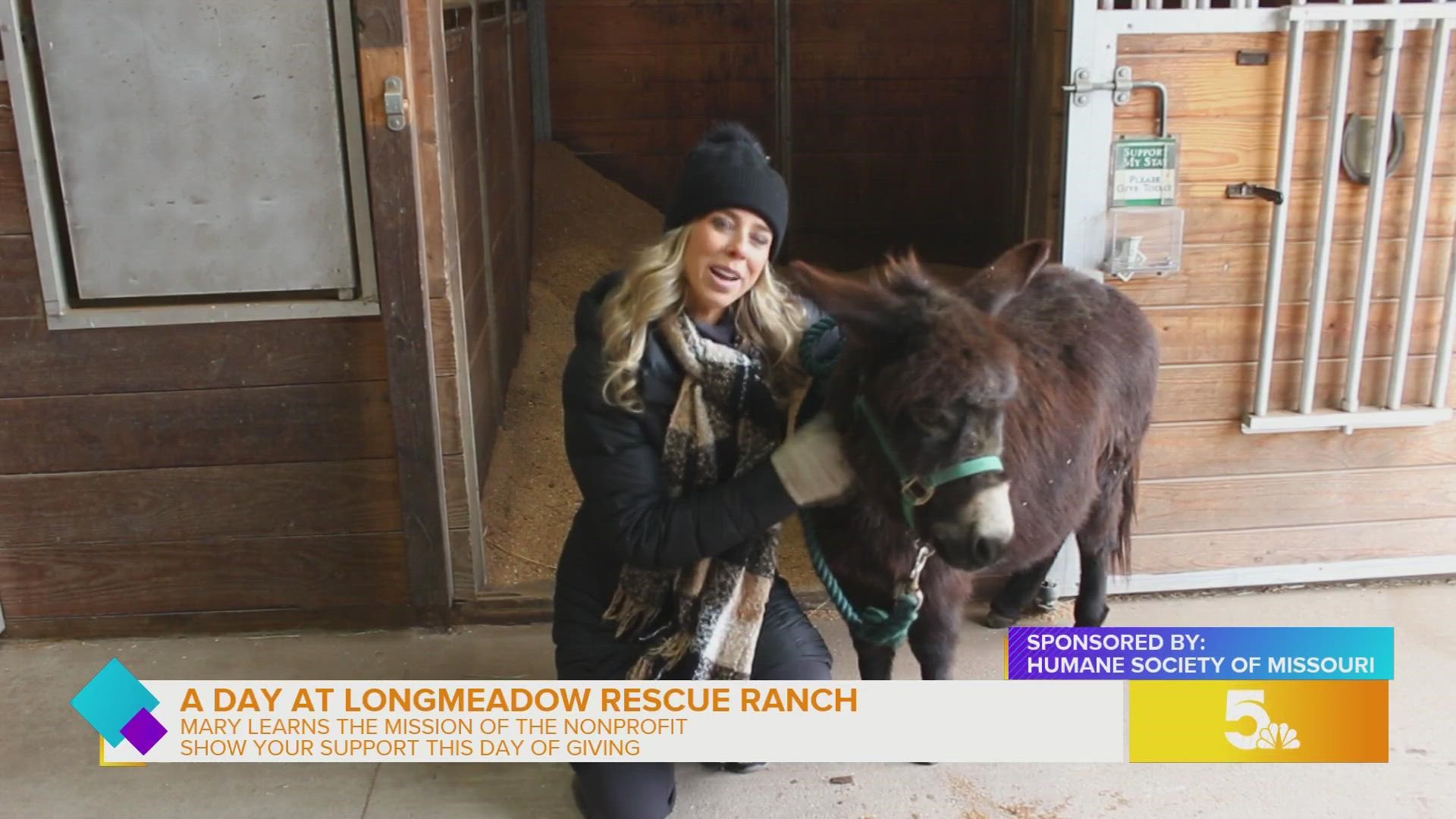Mary spends the day at Longmeadow Rescue Ranch for the Humane Society ...
