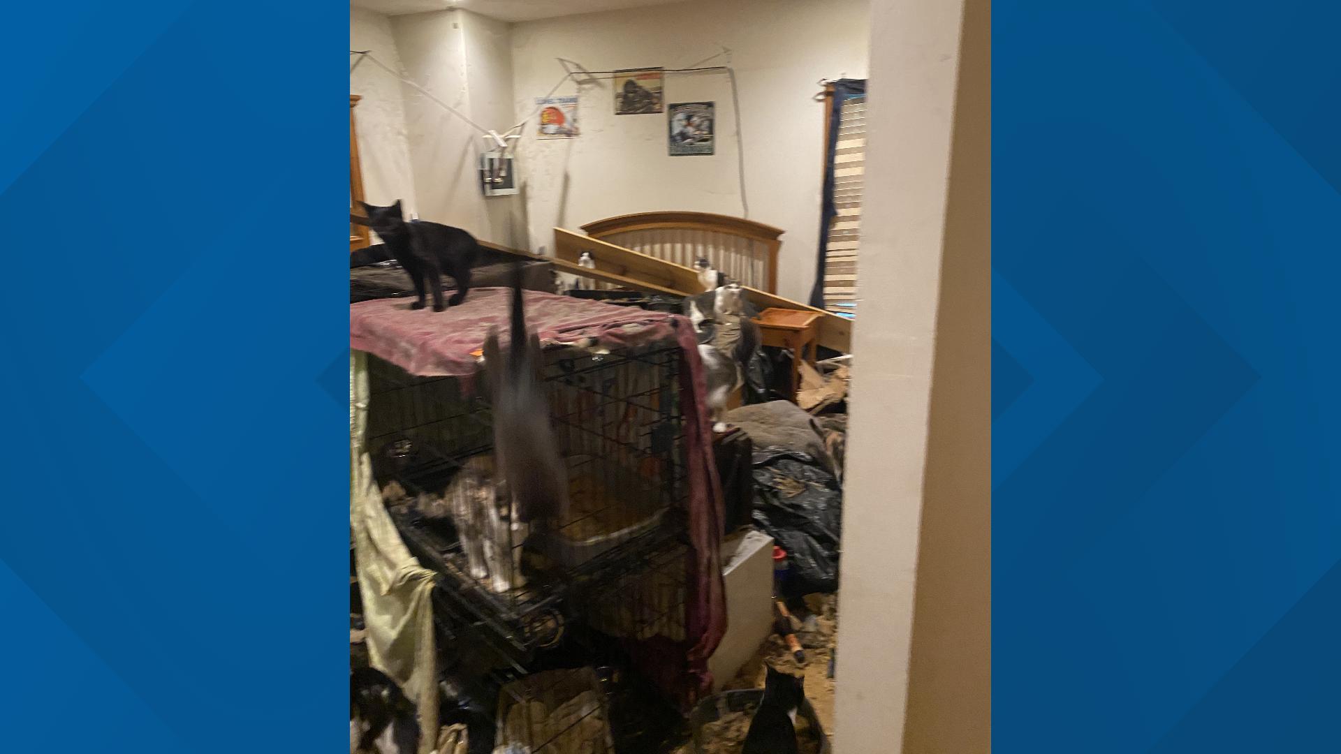 150 cats and counting: APA says 'urgent' help needed after Wildwood ...