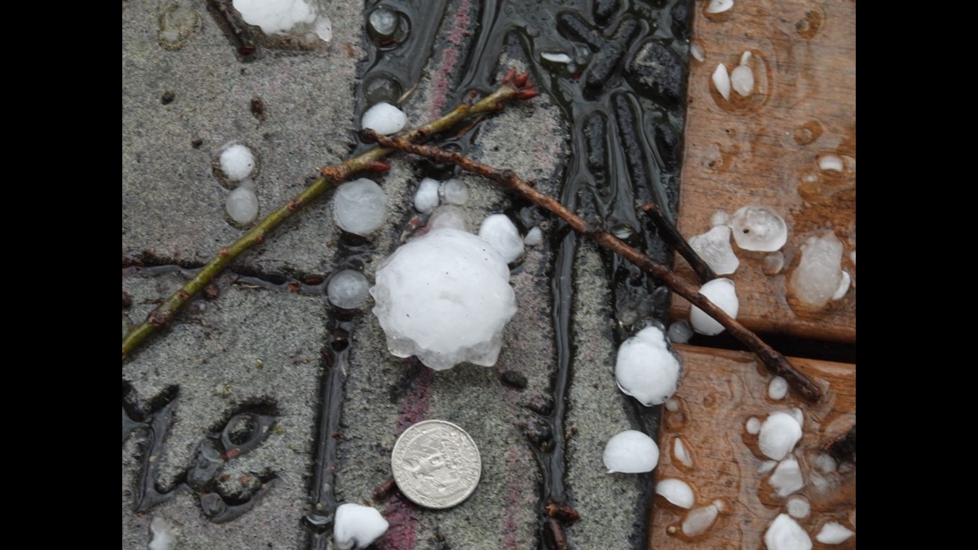 How to avoid a scam when getting hail damage repaired | ksdk.com