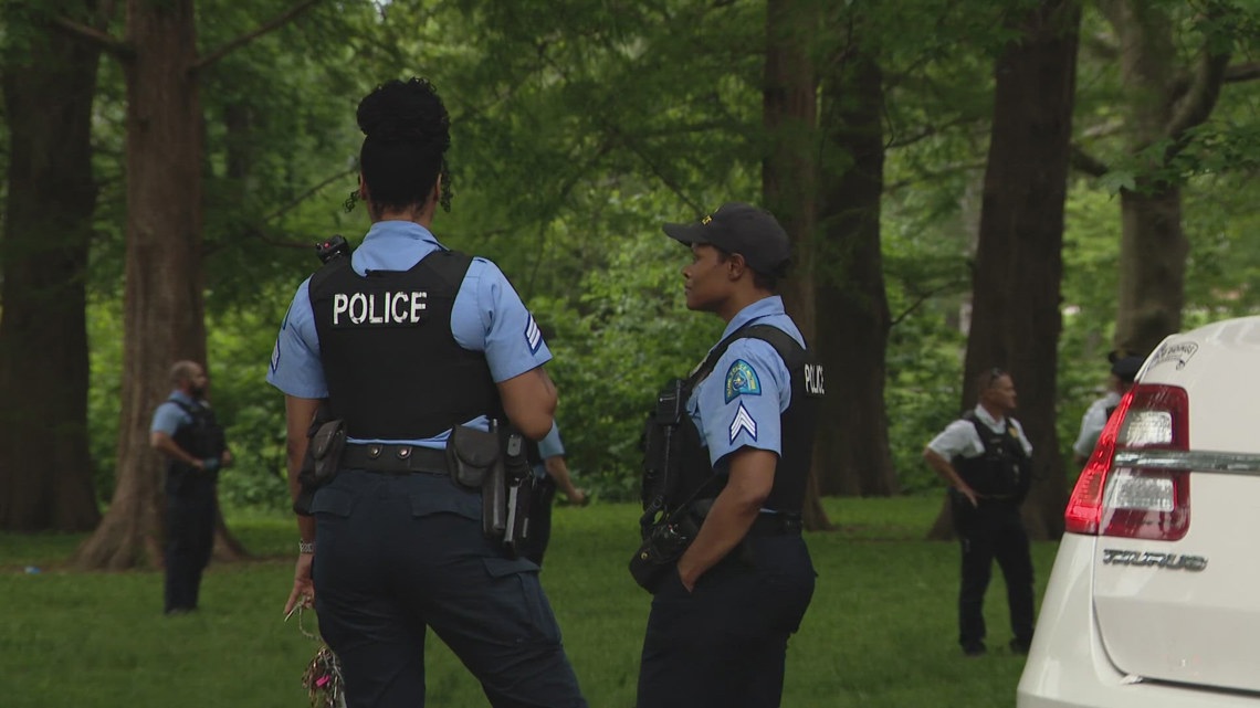 St. Louis police respond to fights at Tower Grove Park, 1 detained ...