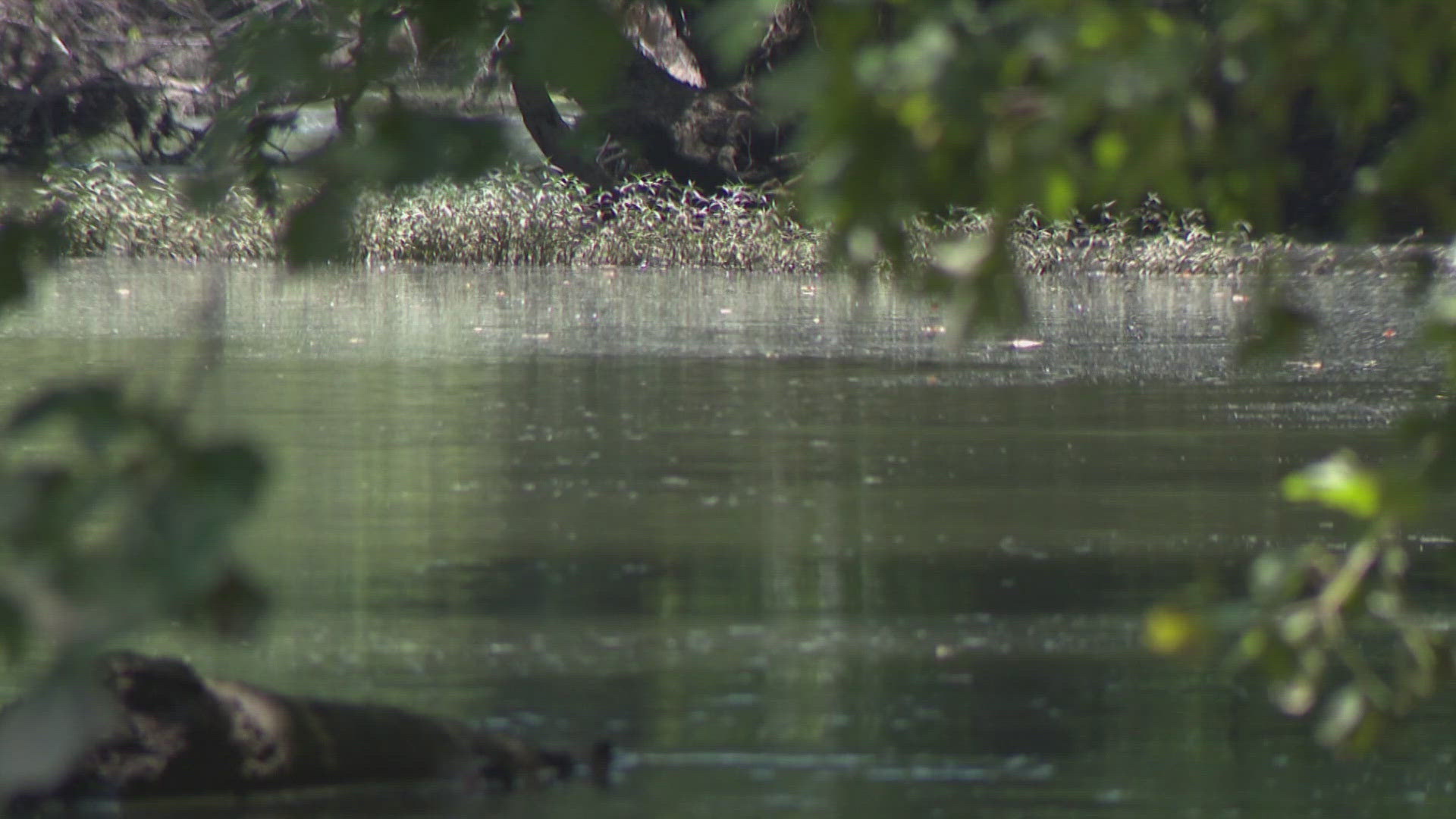 Missouri's 'River of Death' claims two more lives amid hidden dangers | ksdk.com