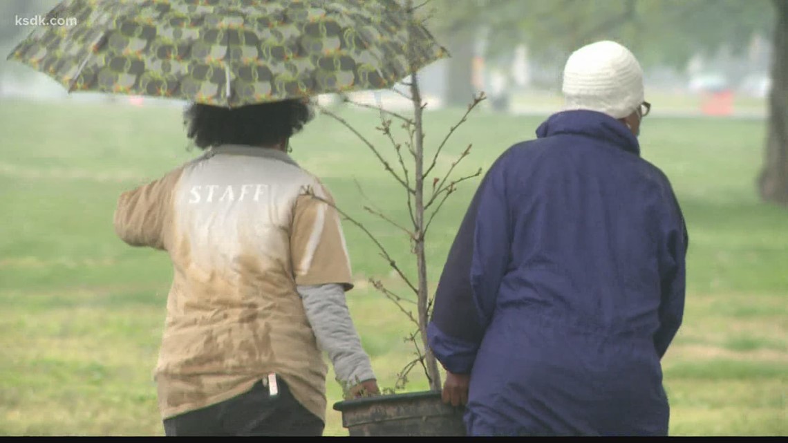 Nonprofit tree nursery plants new native trees at Fairground Park ...