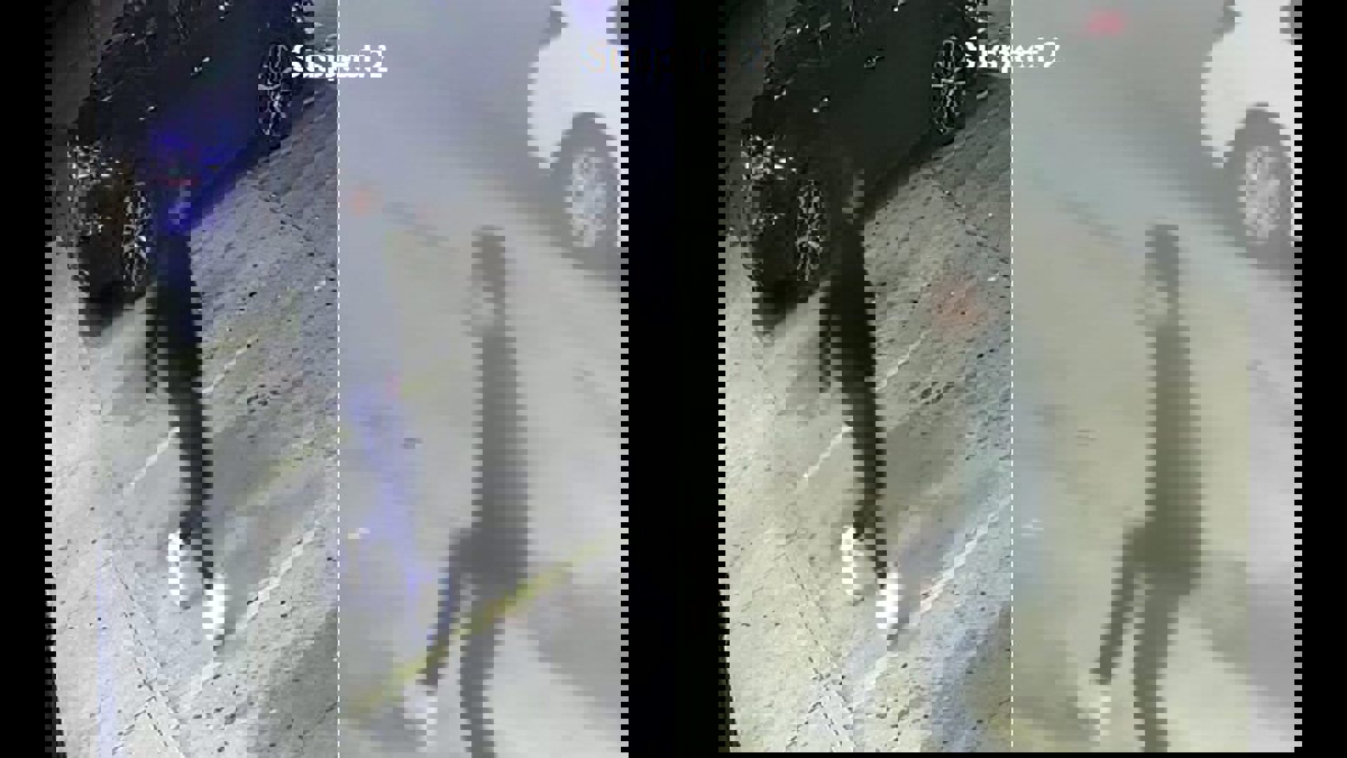 Police searching for 'armed and dangerous' suspects in house party ...