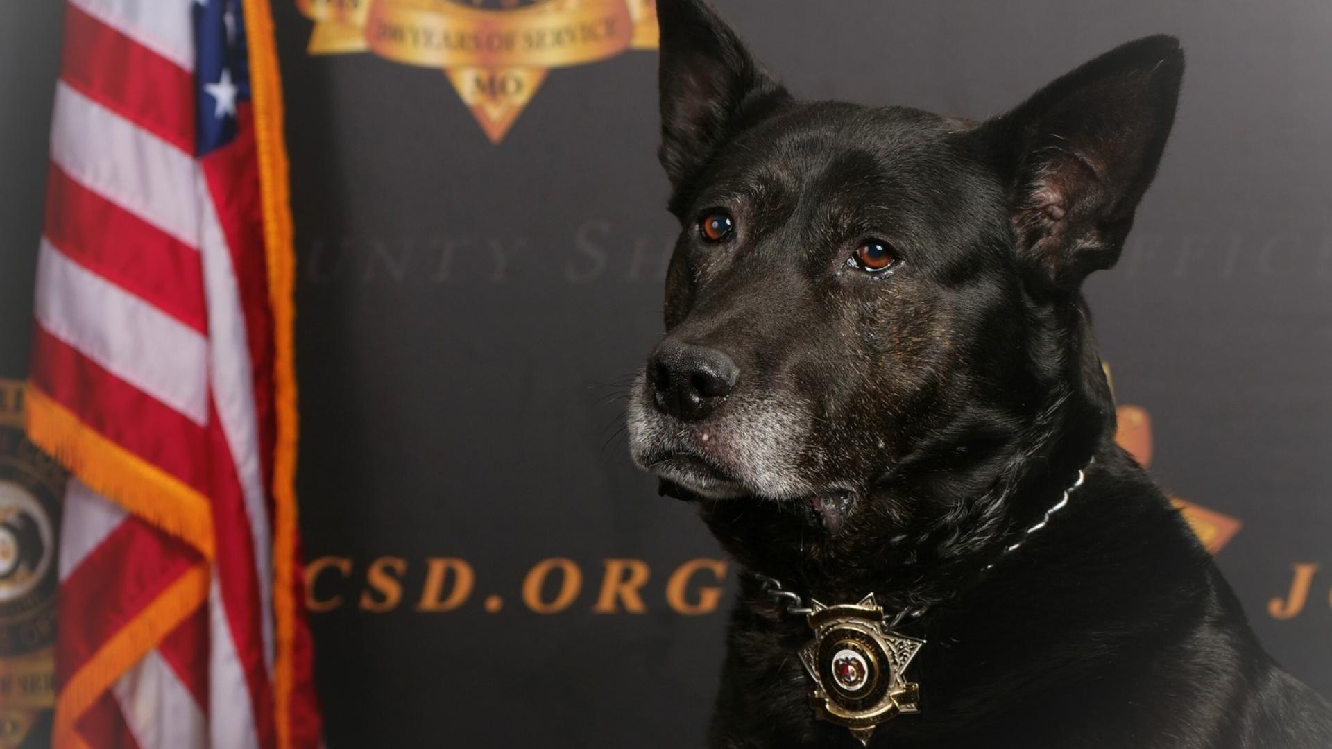 Jefferson County Sheriff's Office mourns death of K-9 Maro | ksdk.com