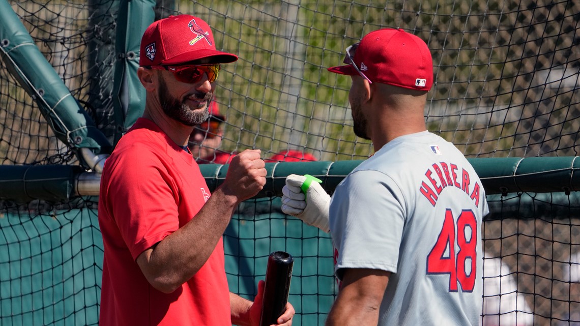 Matt Carpenter enjoying his new role with St. Louis Cardinals | ksdk.com