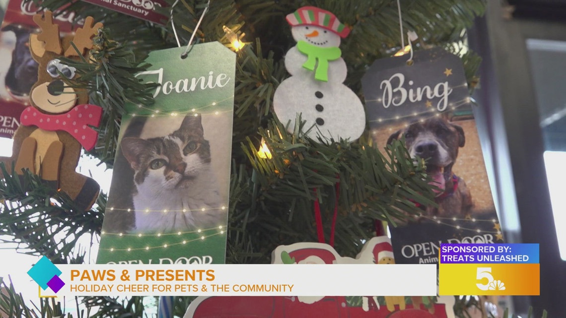 Spreading Holiday Cheer for Pets and the Community with Treats ...