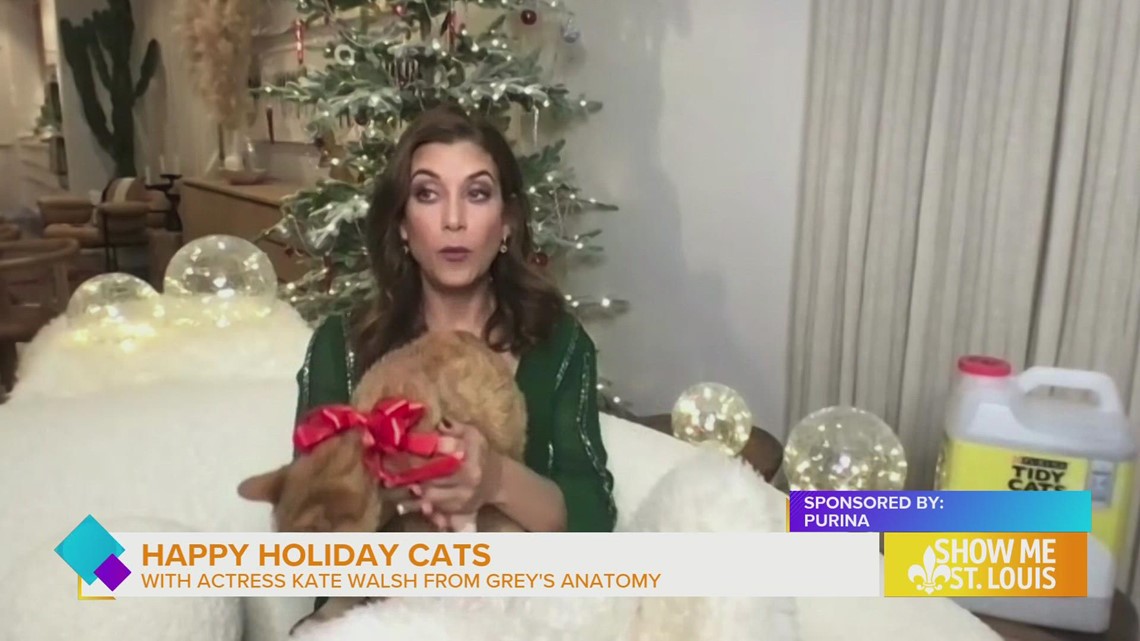 Happy Holiday Cats with Grey's Anatomy and Emily in Paris Star, Kate ...