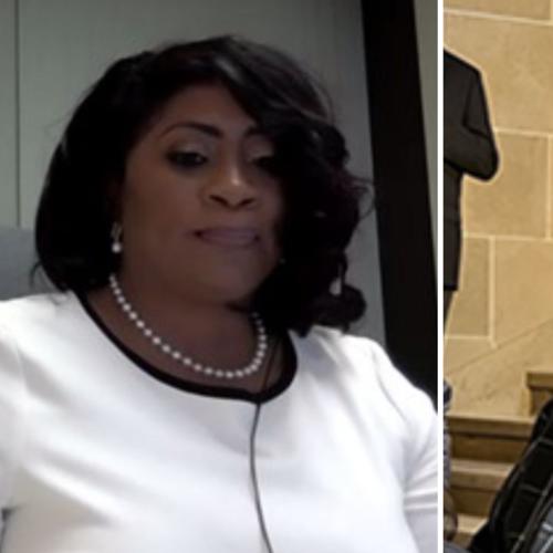St. Louis County Councilwoman Webb Accuses Senator Mosley of Assault ...