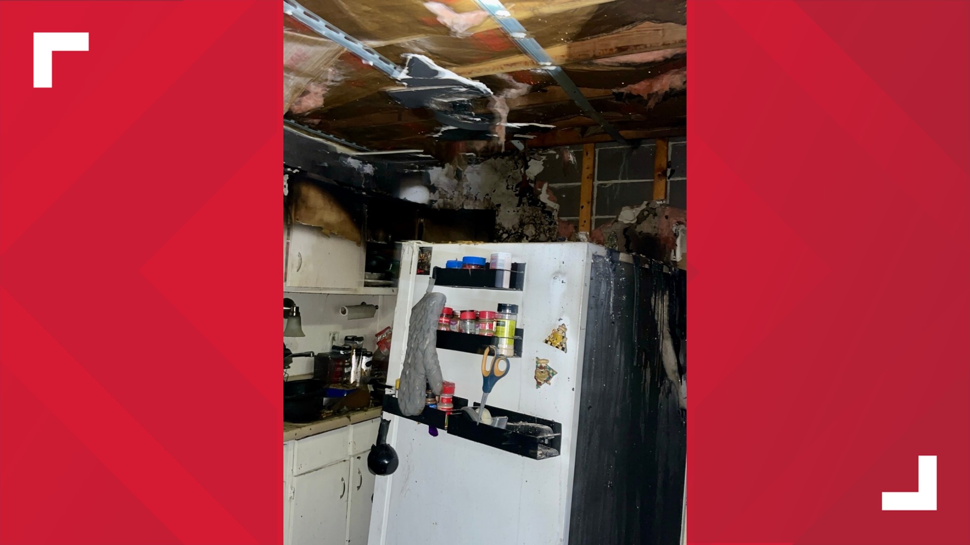 Cat saved from apartment fire in Black Jack | ksdk.com