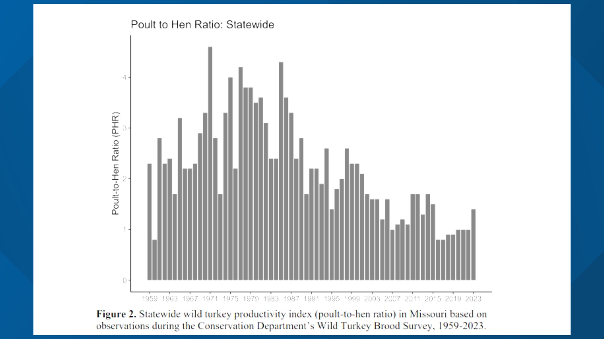 Missouri wild turkeys may see a boost in 2024 thanks to an insect ...