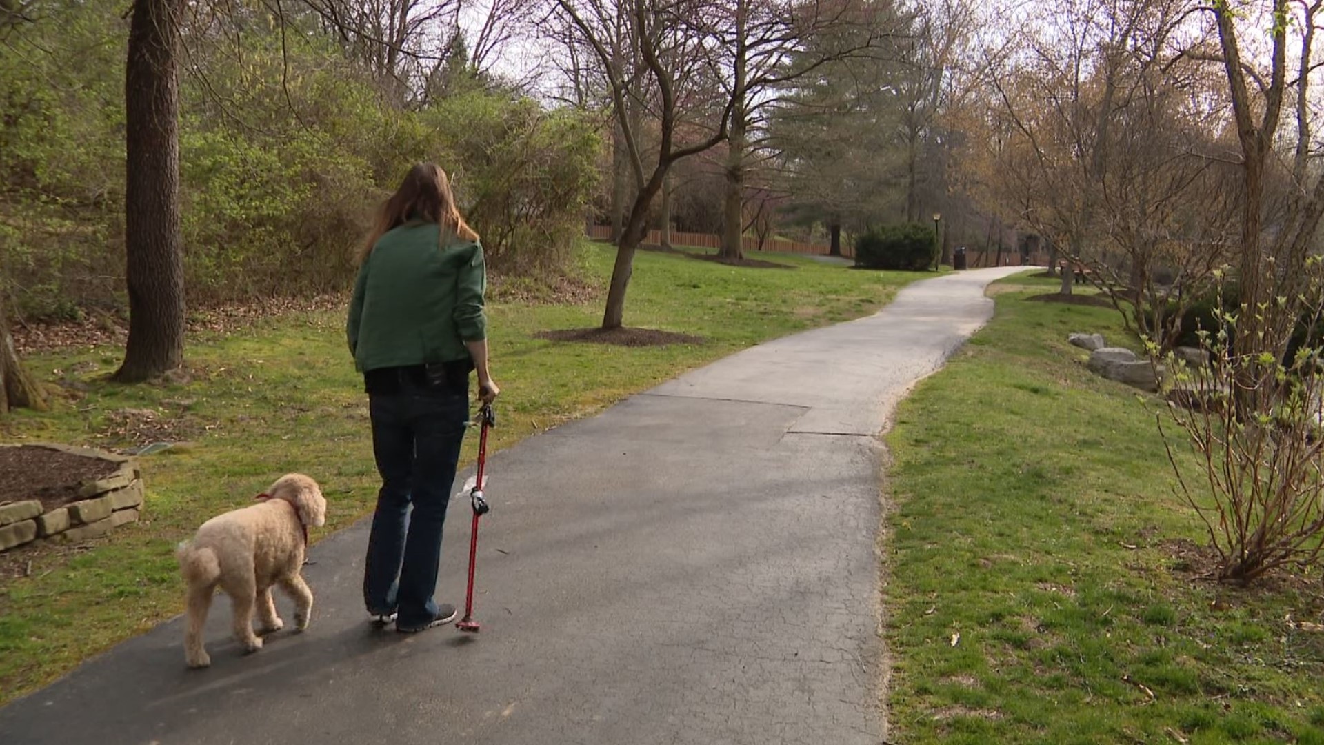 Ballwin dog wins nationwide service dog award | ksdk.com