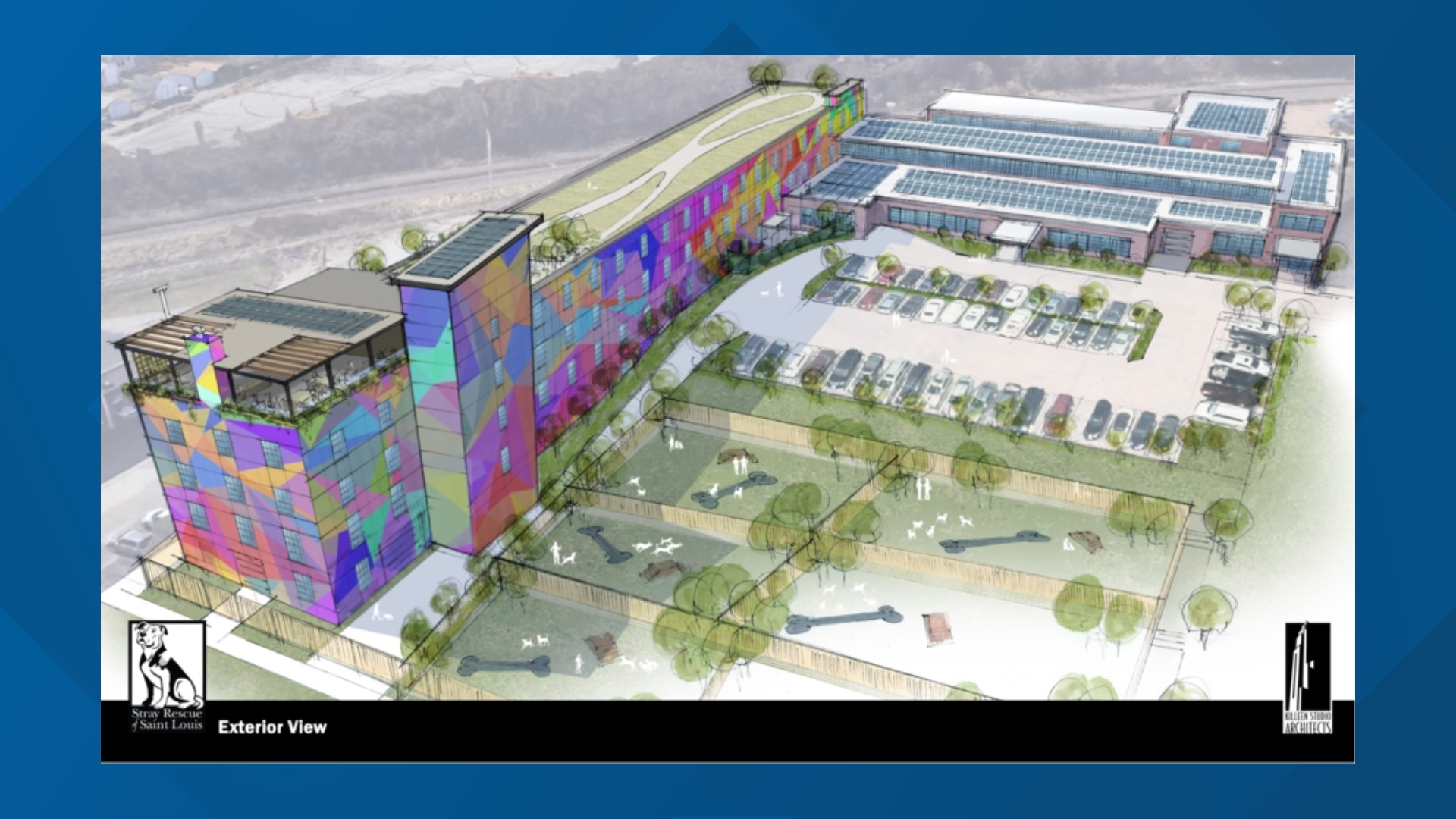 Here's what's planned for Stray Rescue of St. Louis' new facility ...