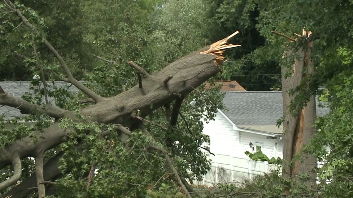 After the storm: How to navigate tree damage | ksdk.com