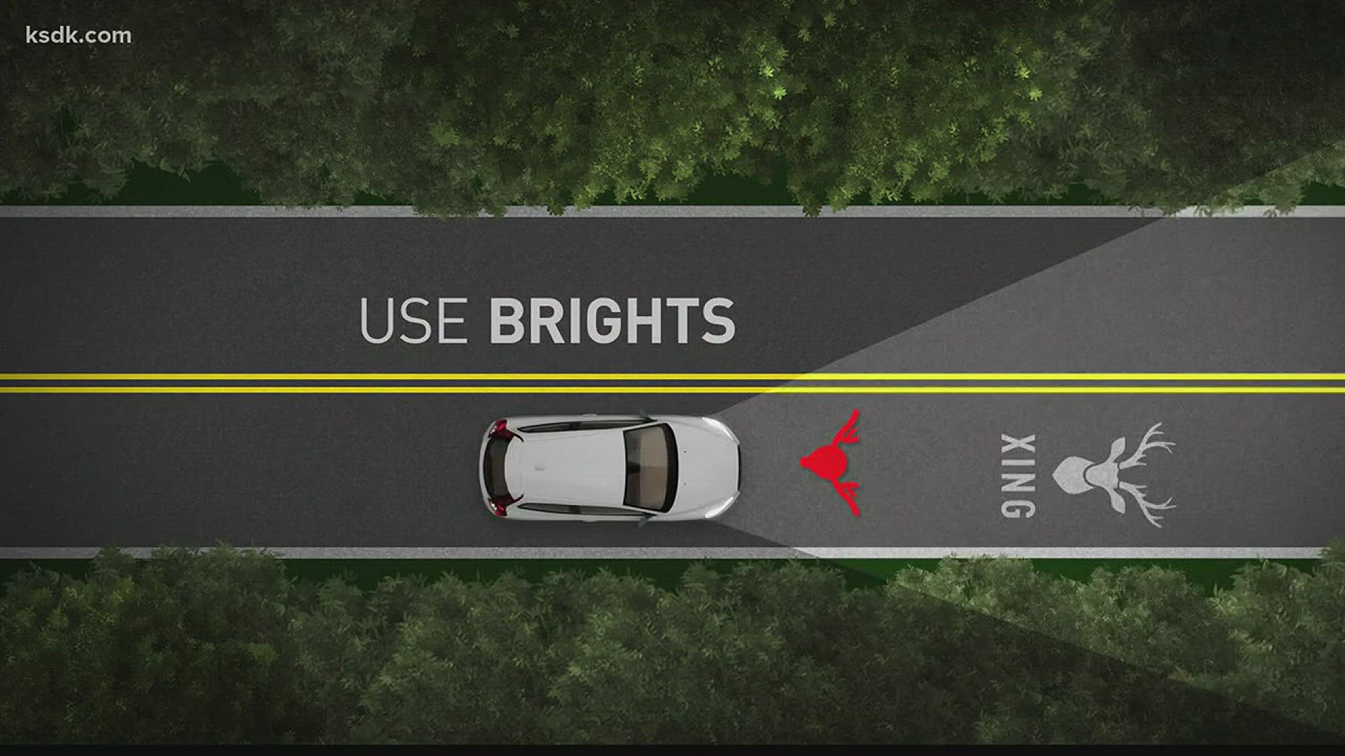 A deer totaled my car. Here's what to do if it happens to you | ksdk.com