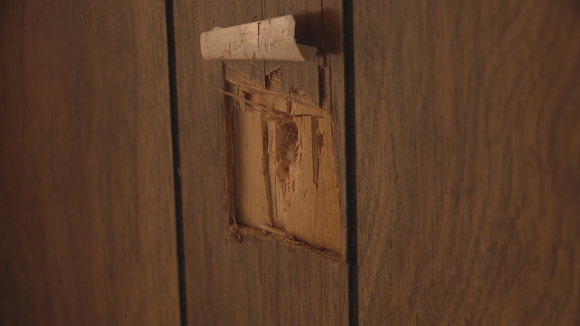 Police search for 3 armed robbery suspects after employee shot at ...