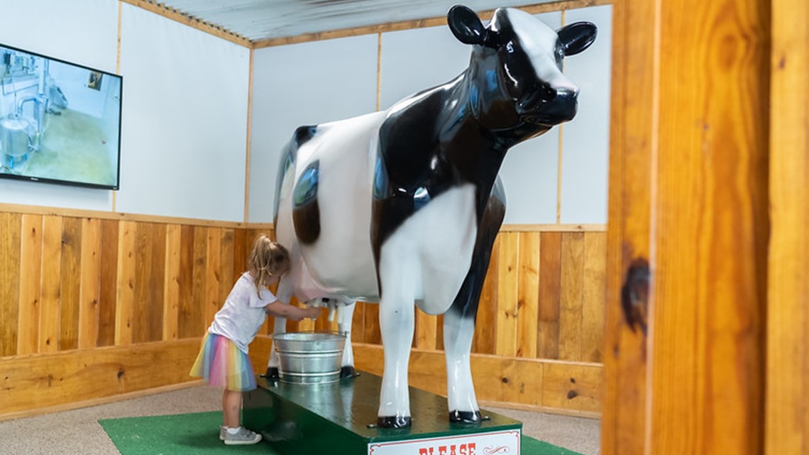 New interactive display at Suson Park lets you try milking a cow | ksdk.com