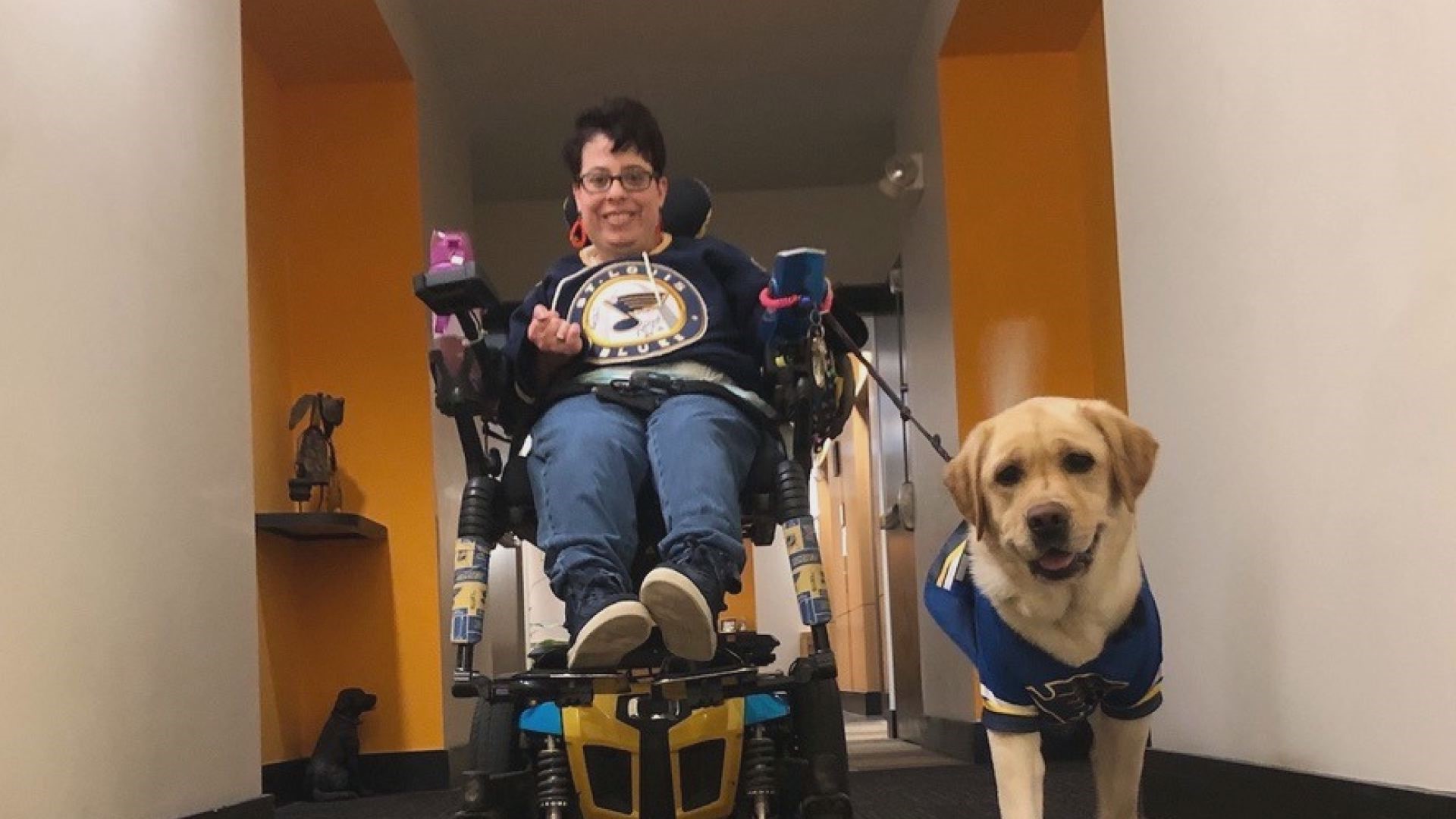 St. Louis County organization offers free service dogs | ksdk.com
