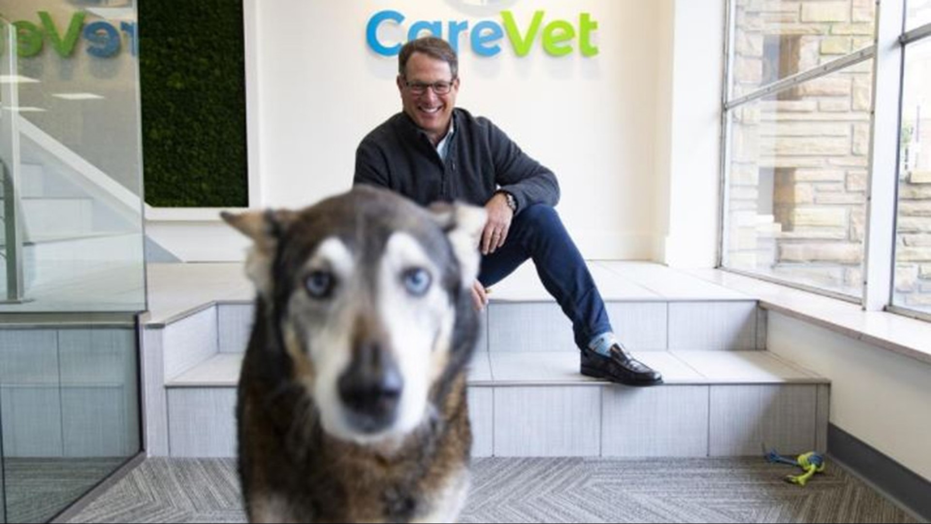 CareVet makes 100th acquisition | ksdk.com